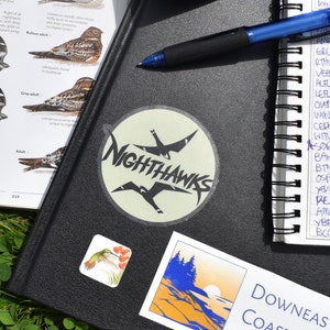 NIGHTHAWKS Vinyl Sticker - Etsy