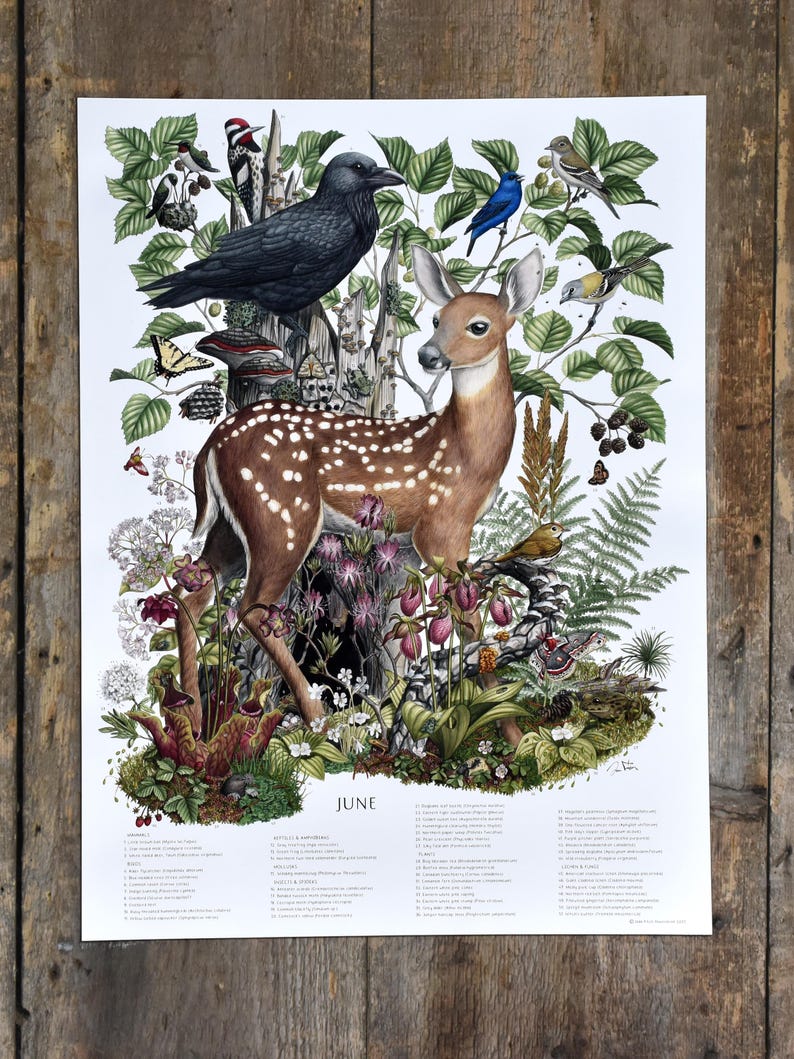 JUNE, Signed Poster 18x24" - Etsy
