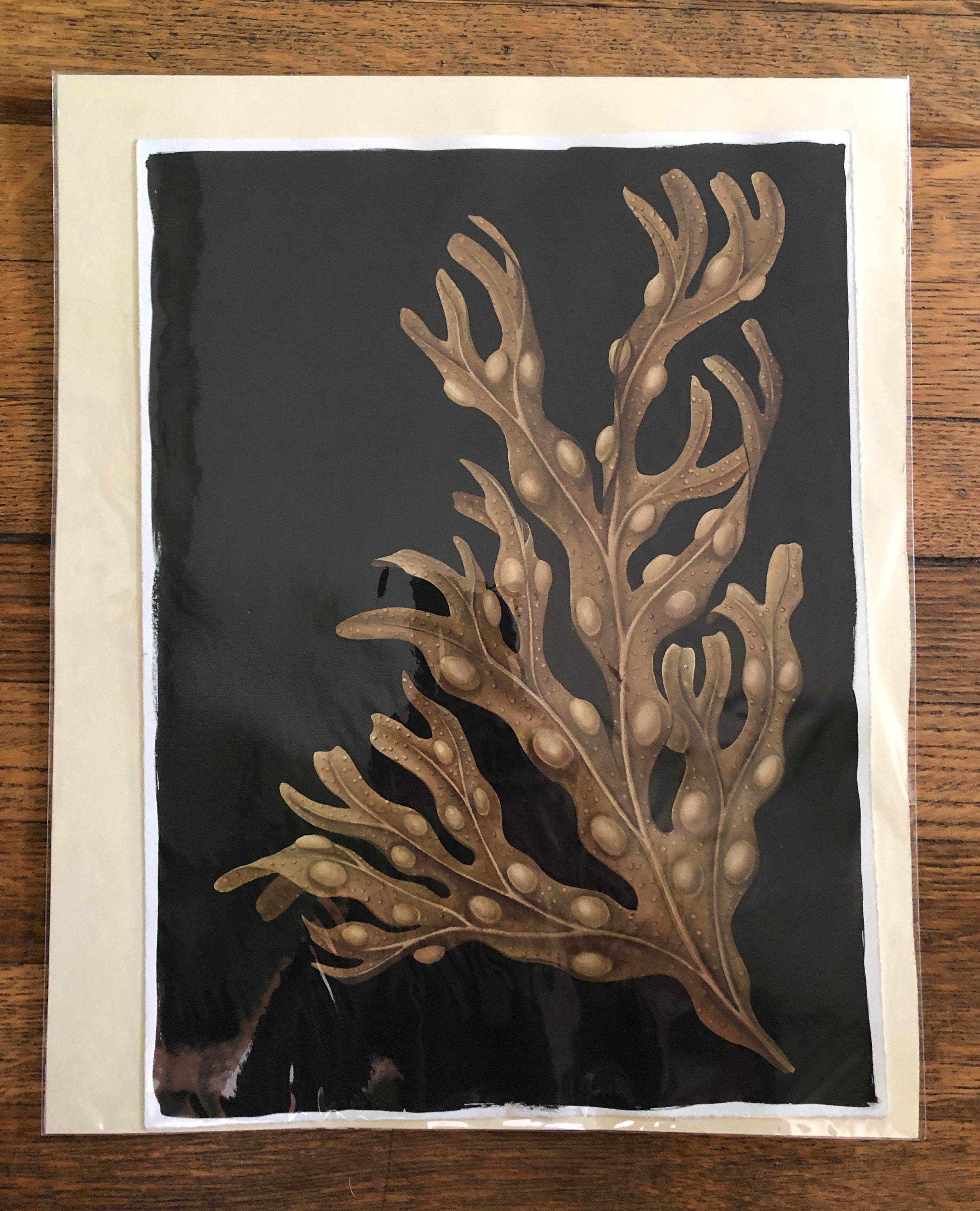 Bladder Wrack, Original Watercolor Painting - Etsy