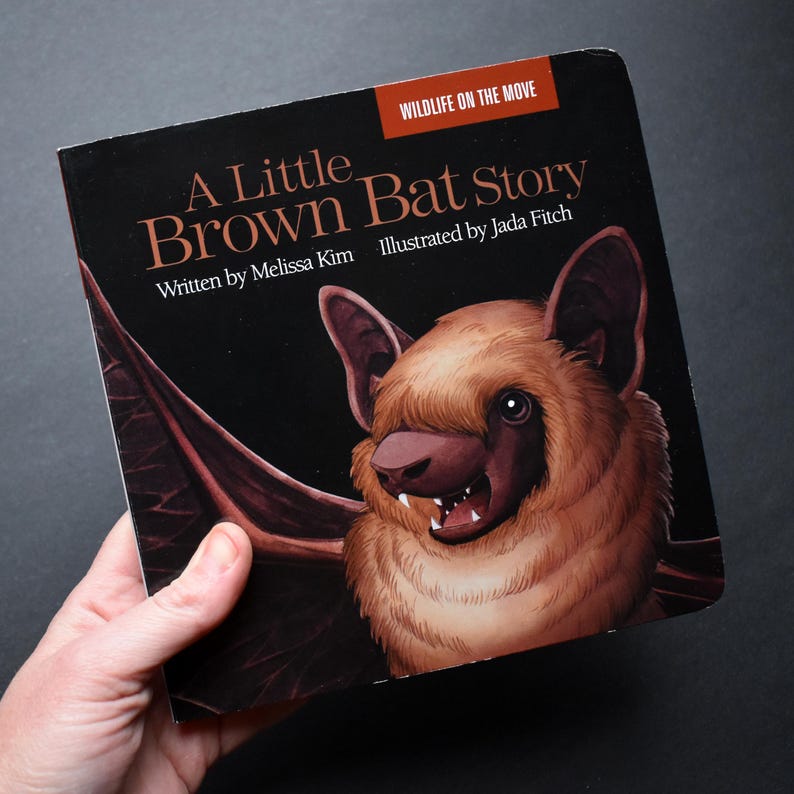 A Little Brown Bat Story, Signed by Jada - Etsy