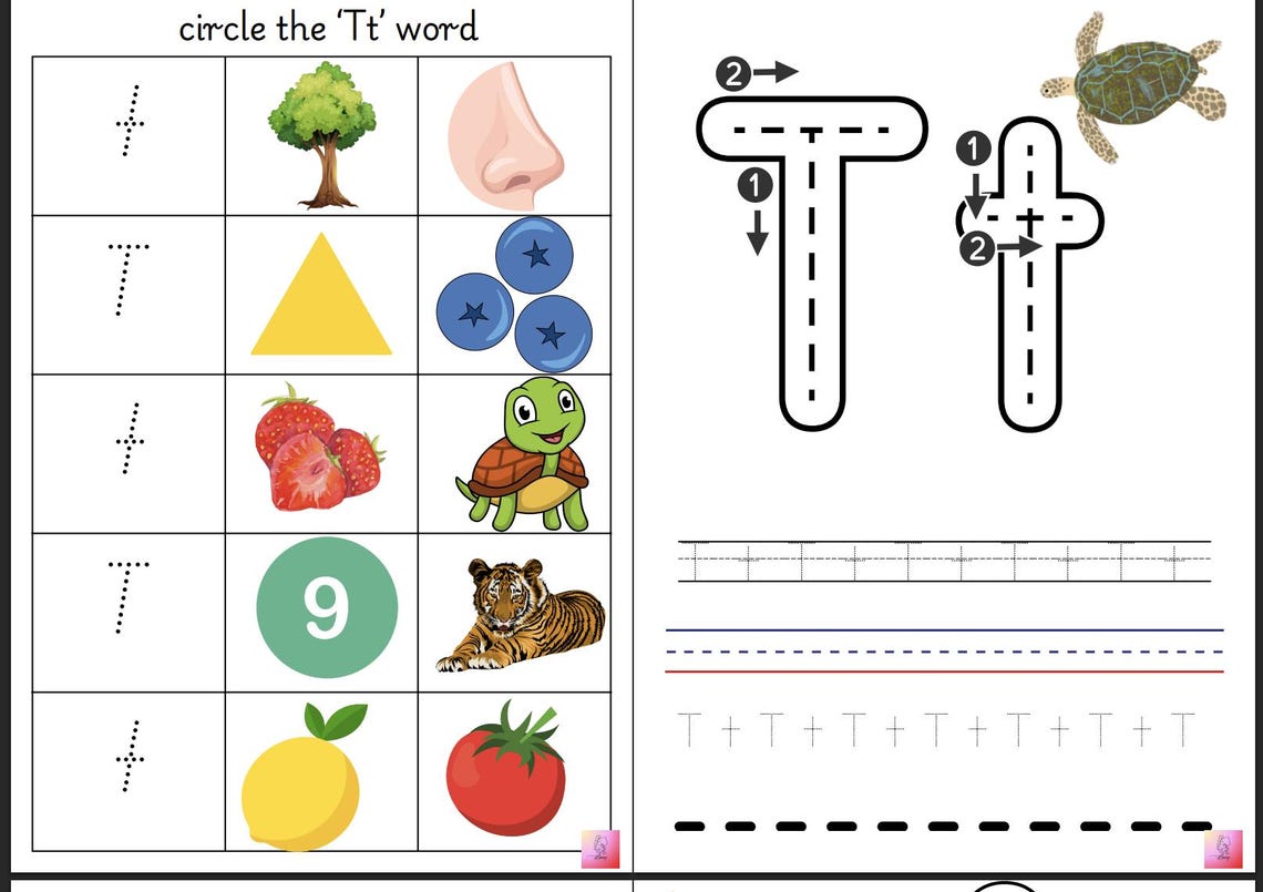 Phonics SATPIN Activities Booklet - Etsy