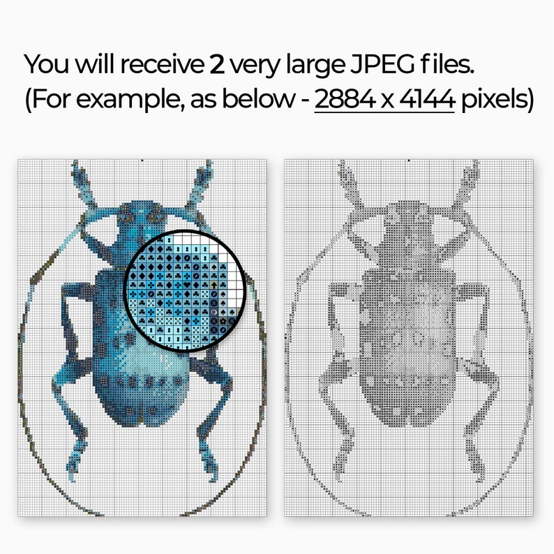 Peacock Butterfly, Insects Bugs Cross Stitch Pattern PDF, Stitching ...