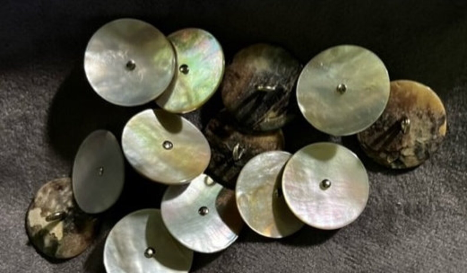 BULK Lot of 13 Mother of Pearl Natural Shell Shank Button - 36l/23mm ...