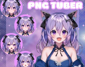 Custom PNG Tuber Model - Etsy