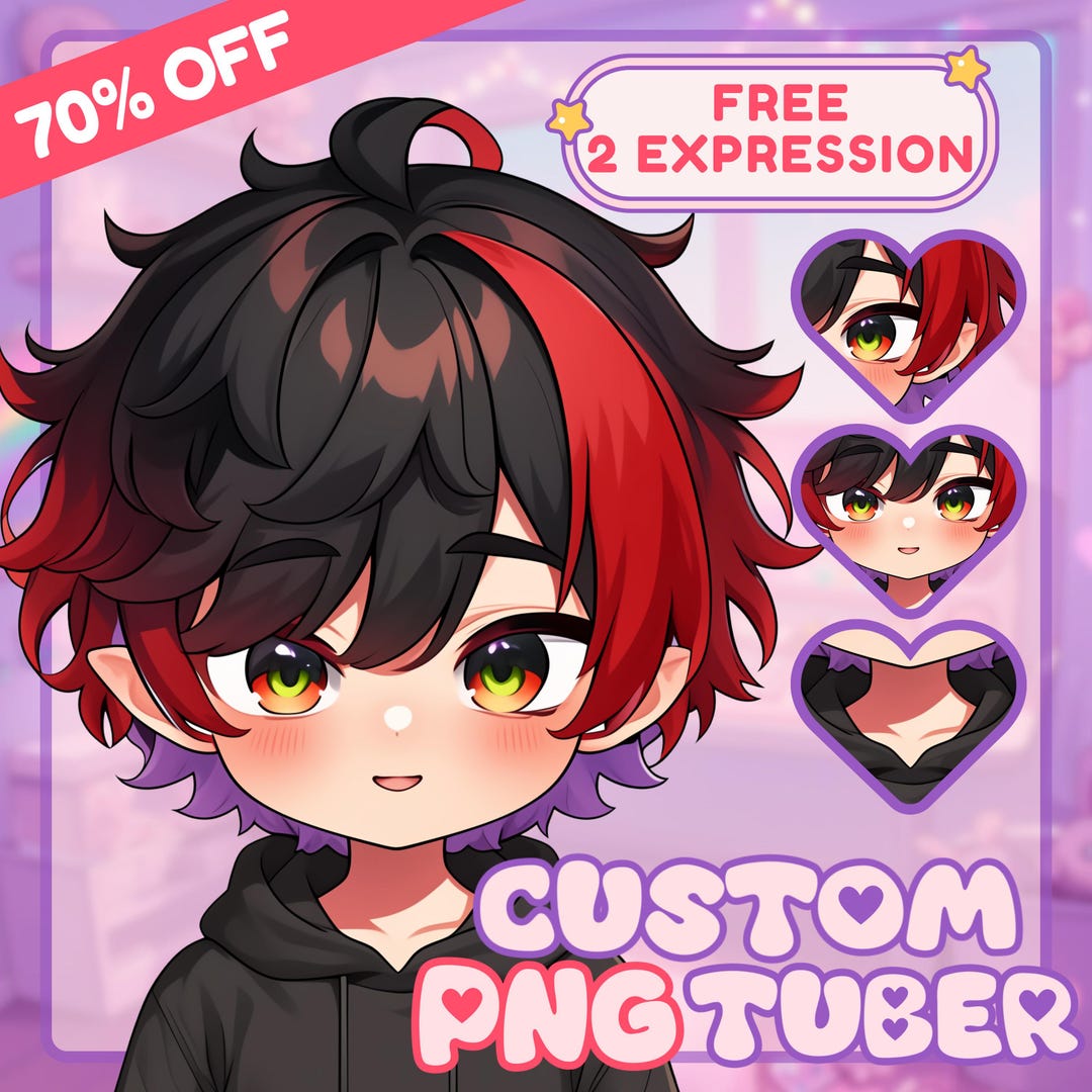 Custom Chibi Pngtuber Live2d Model, Pngtuber Character Design for ...