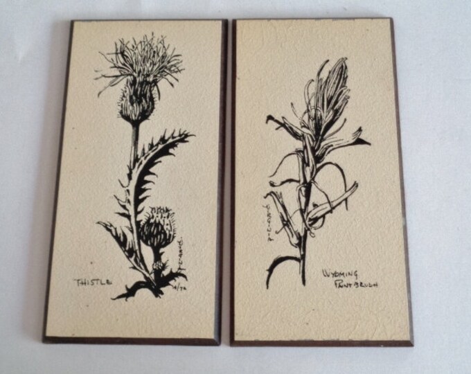 Vintage Botanical Ink Drawings - Etsy