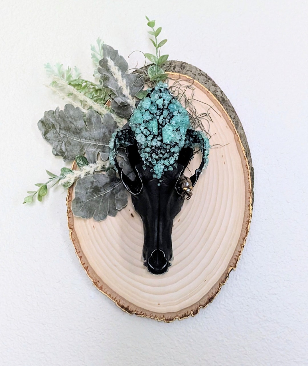 Crystallized Real Coyote Skull With Cicada Skin, Natural Wood, Spanish ...