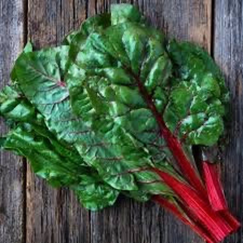 Swiss Chard- Ruby Red Seeds - Etsy