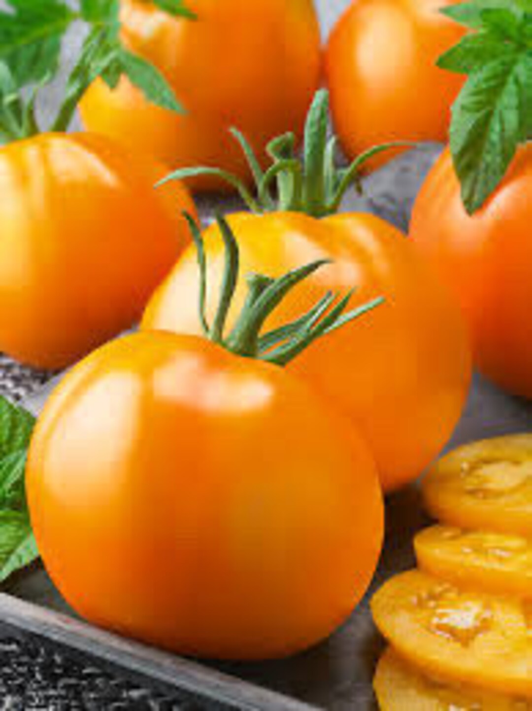 Tomato -golden Jubilee Seeds - Etsy