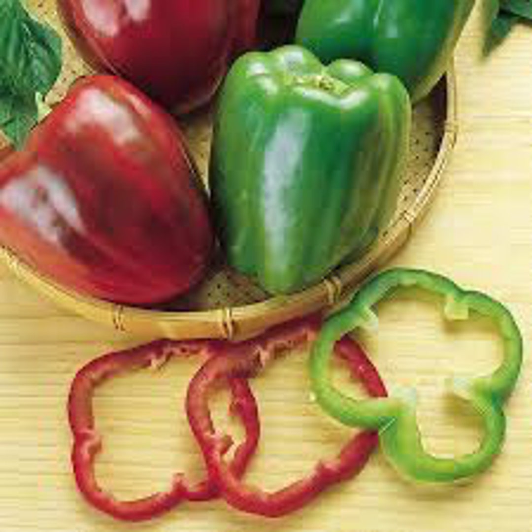 Peppers-california Wonder Red Seeds - Etsy