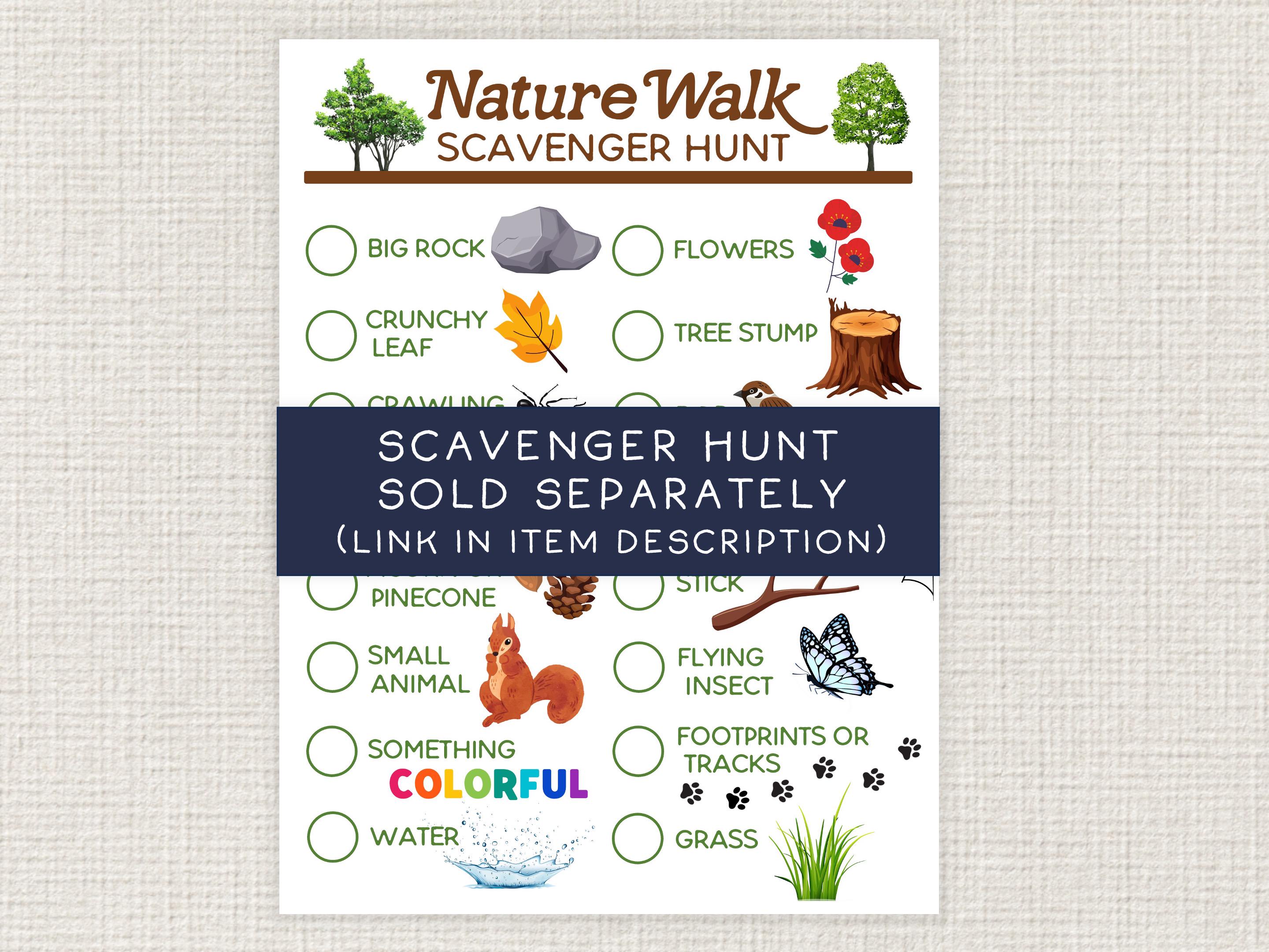 Nature Walk My Five Senses, Hiking Printable, Kids Camping Activity ...