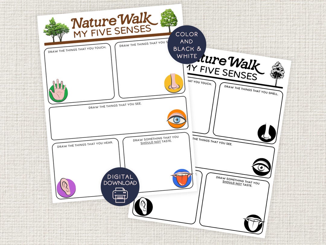 Nature Walk My Five Senses, Hiking Printable, Kids Camping Activity ...