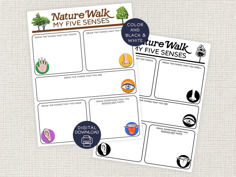 Nature Walk My Five Senses, Hiking Printable, Kids Camping Activity ...