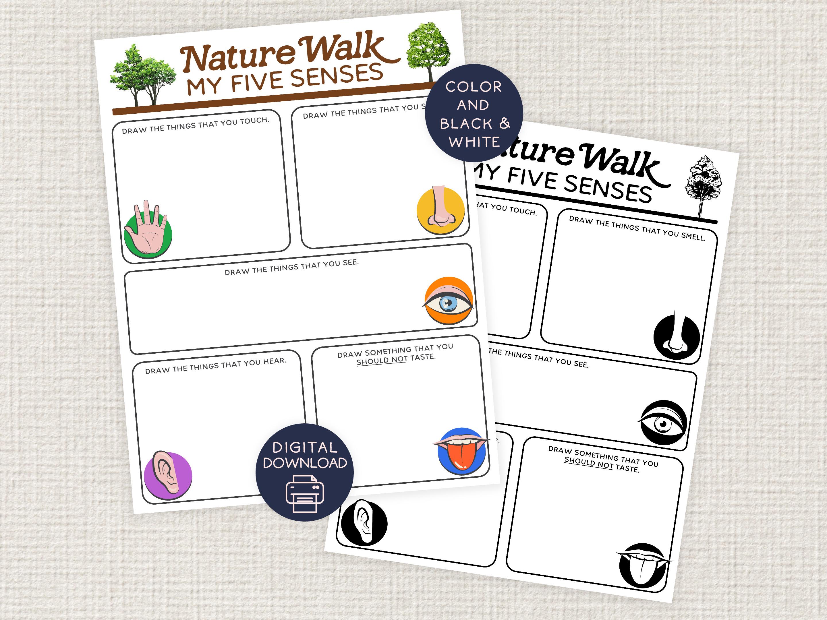 Nature Walk My Five Senses, Hiking Printable, Kids Camping Activity ...