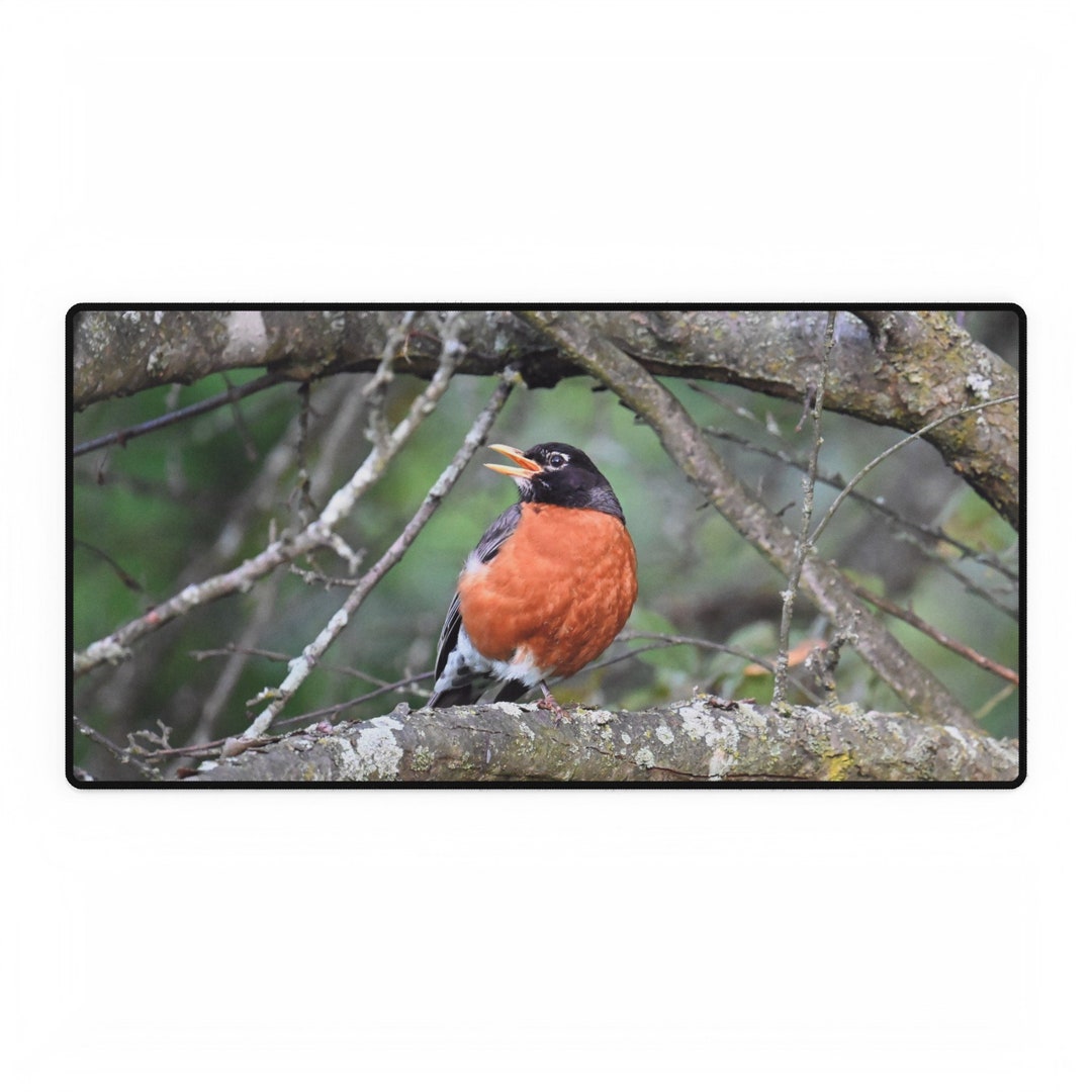 Red Robin Desk Mats - Etsy