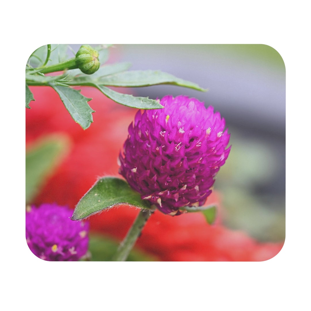Globe Amaranth Mouse Pad (rectangle) - Etsy