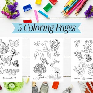 5 Printable Colouring Sheets, Instant Download, Animals, Birds, Nature ...