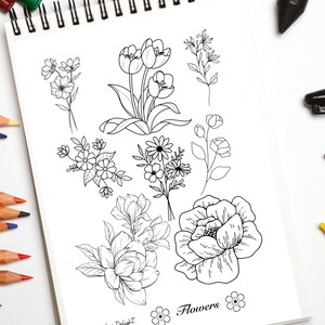 5 Printable Colouring Sheets, Instant Download, Animals, Birds, Nature ...