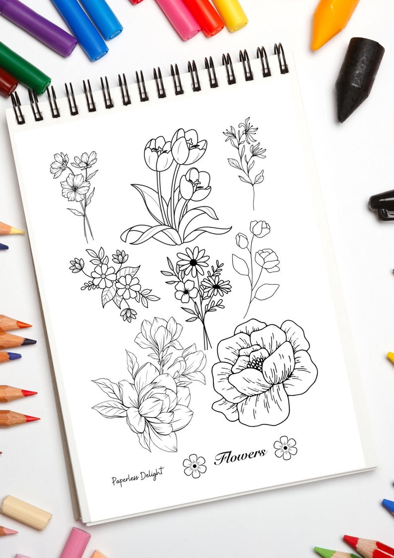 5 Printable Colouring Sheets, Instant Download, Animals, Birds, Nature ...