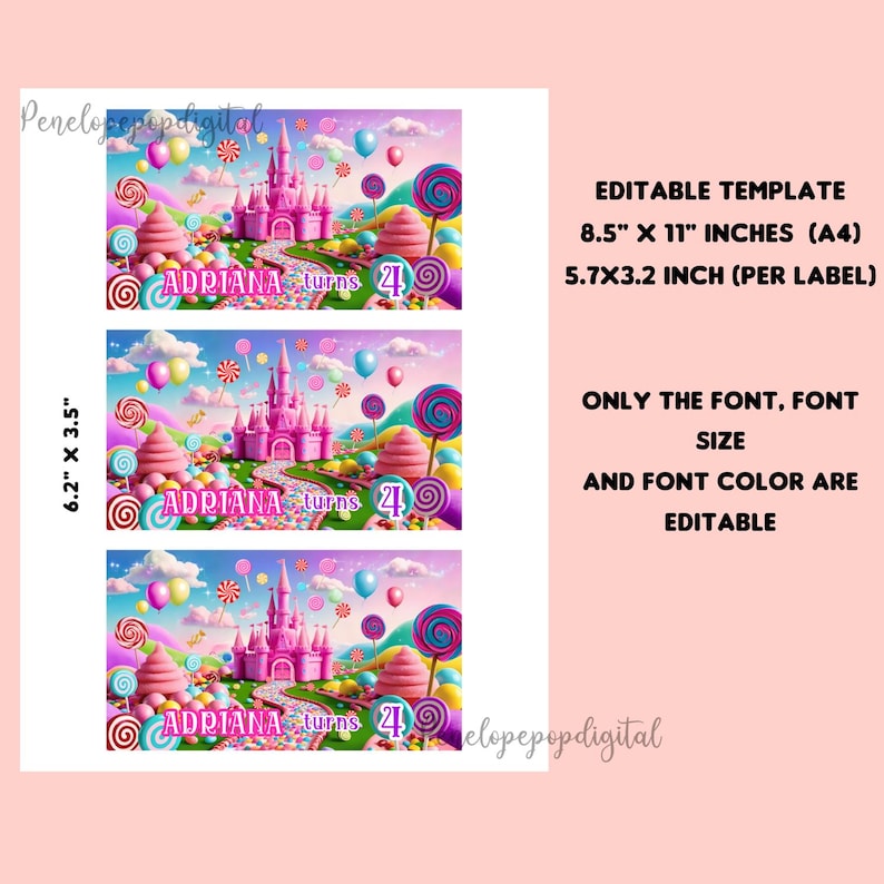 Editable Candyland Party Gable Gift Box Label, Printable and ...