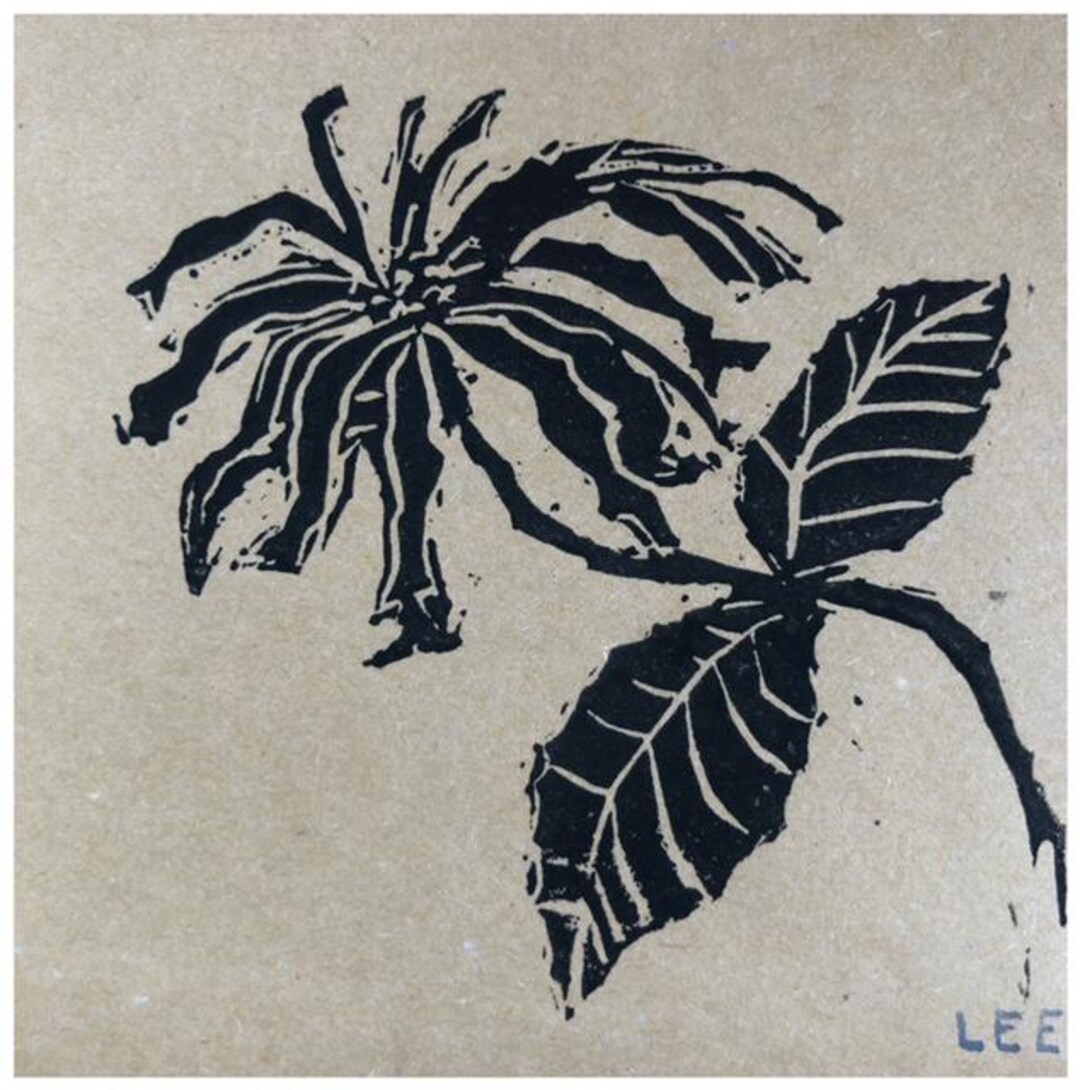 Monarda Fistulosa, Wild Bergamot Native Seed Pack + Handmade Art Print ...