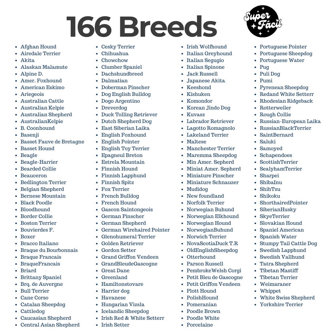 600+ Dog Clipart Bundle Dog Clipart Sublimation Designs, Dog Breed PNG ...