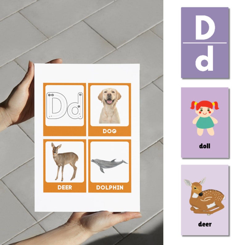 Printable Flash Cards for Preschool and Kindergarten, Educational ...