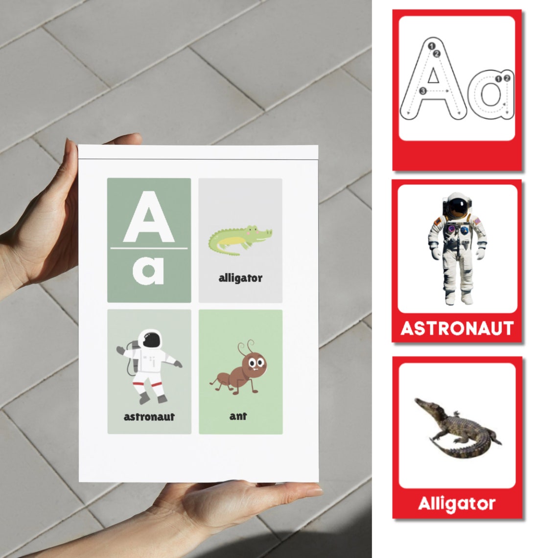 Printable Flash Cards for Preschool and Kindergarten, Educational ...
