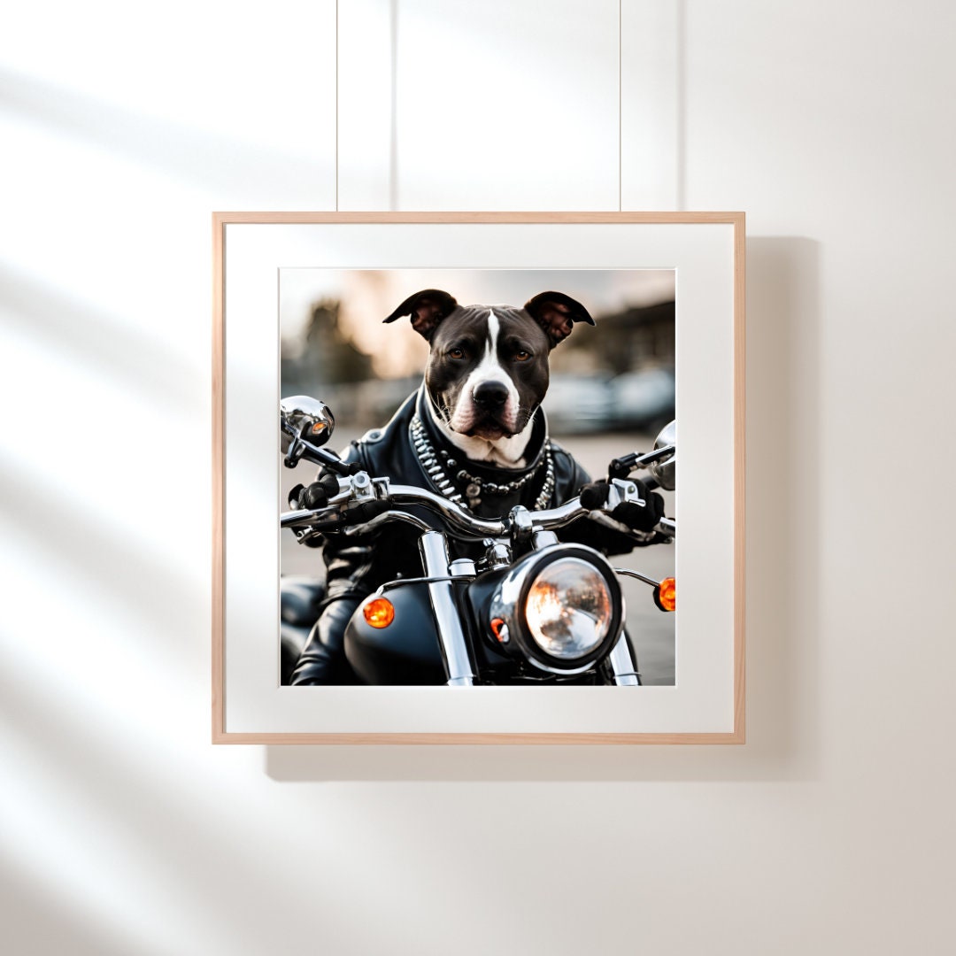 Pitbull Dog, Biker Dog in Leathers, Dog on Motorcycle, Dog Art, Funny ...