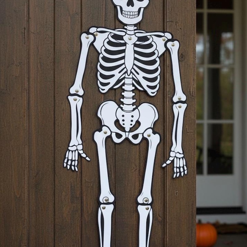 Halloween Life Size Skeletons - Etsy