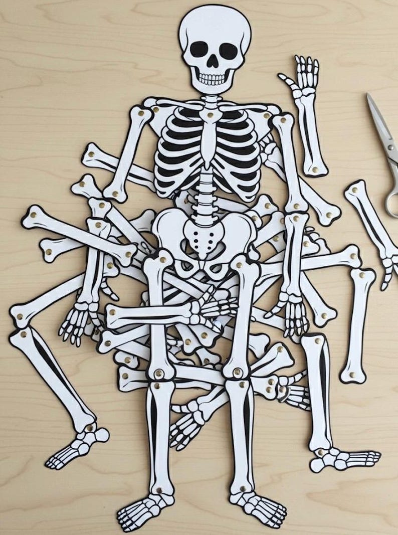 Life-size Articulated Skeleton Printable Kit: Halloween DIY Decor ...