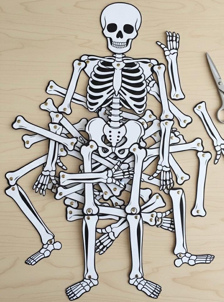 Life-size Articulated Skeleton Printable Kit: Halloween DIY Decor ...