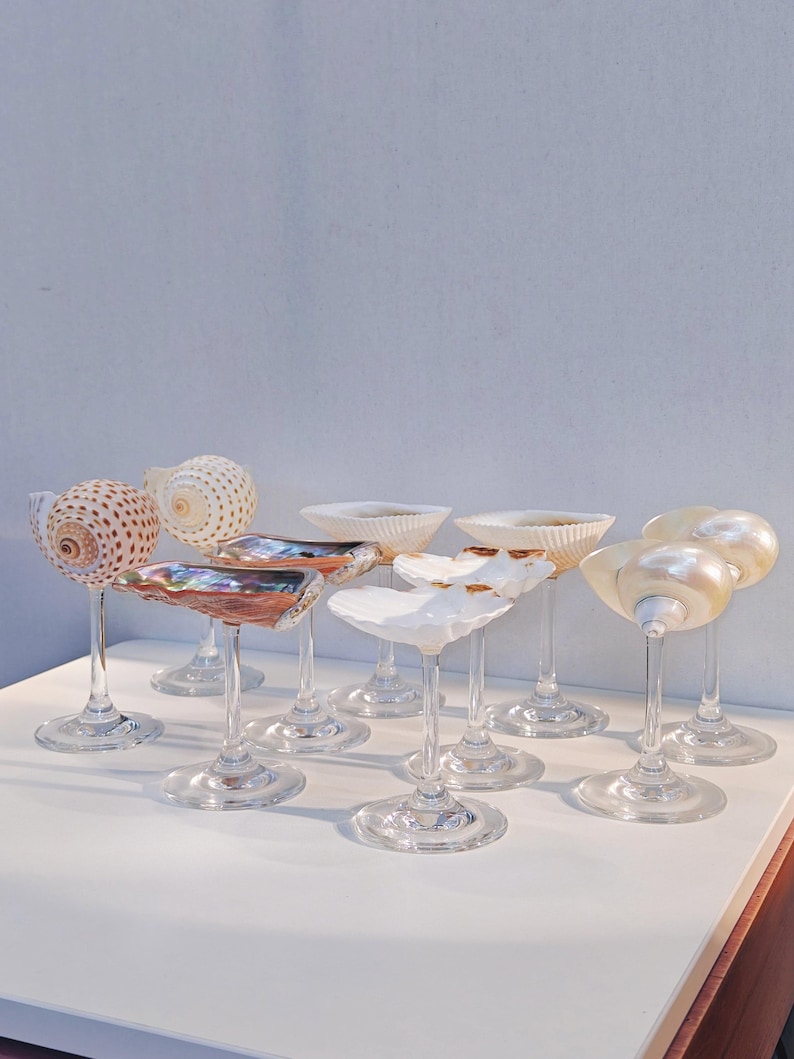 Customized Seashell Wine Glasses, Goblet Cocktail Coupe Glasses, Beach ...