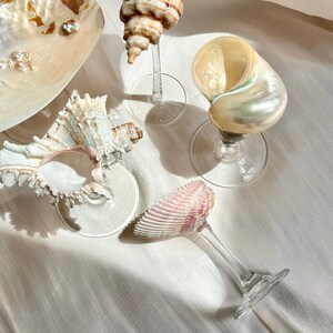 Custom Name Seashell Wine Glasses, Wedding Bridesmaids Gift,beach Shell ...