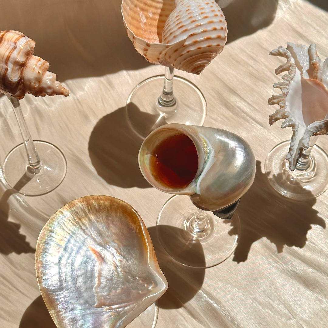 Custom Name Seashell Wine Glasses, Wedding Bridesmaids Gift,beach Shell ...