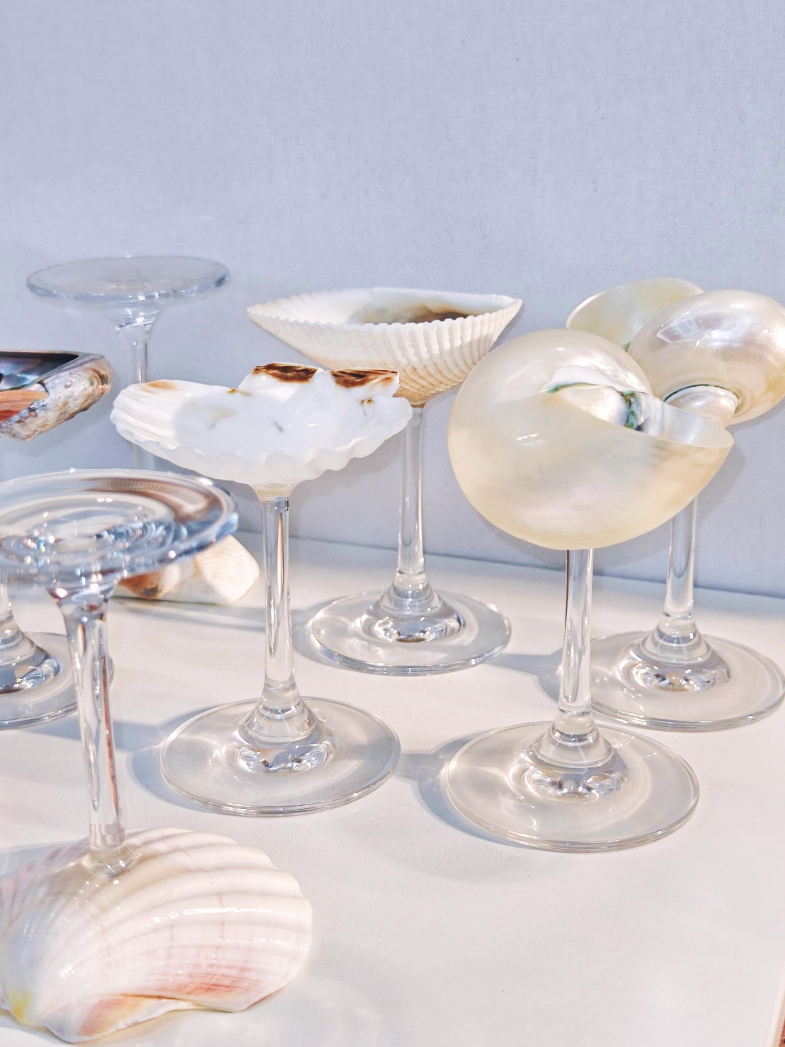 Customized Seashell Wine Glasses, Goblet Cocktail Coupe Glasses, Beach ...