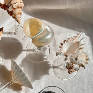 Custom Name Seashell Wine Glasses, Wedding Bridesmaids Gift,beach Shell ...