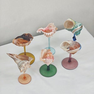 Customized Beach Seashell Martini Glass, Shell Wine Glasses, Shell Cups ...