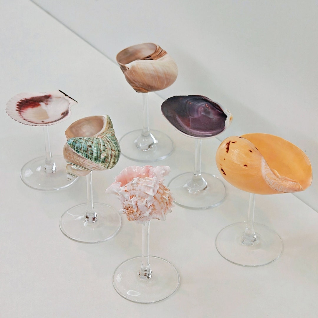 Customized Seashell Wine Glasses, Goblet Cocktail Coupe Glasses, Beach ...