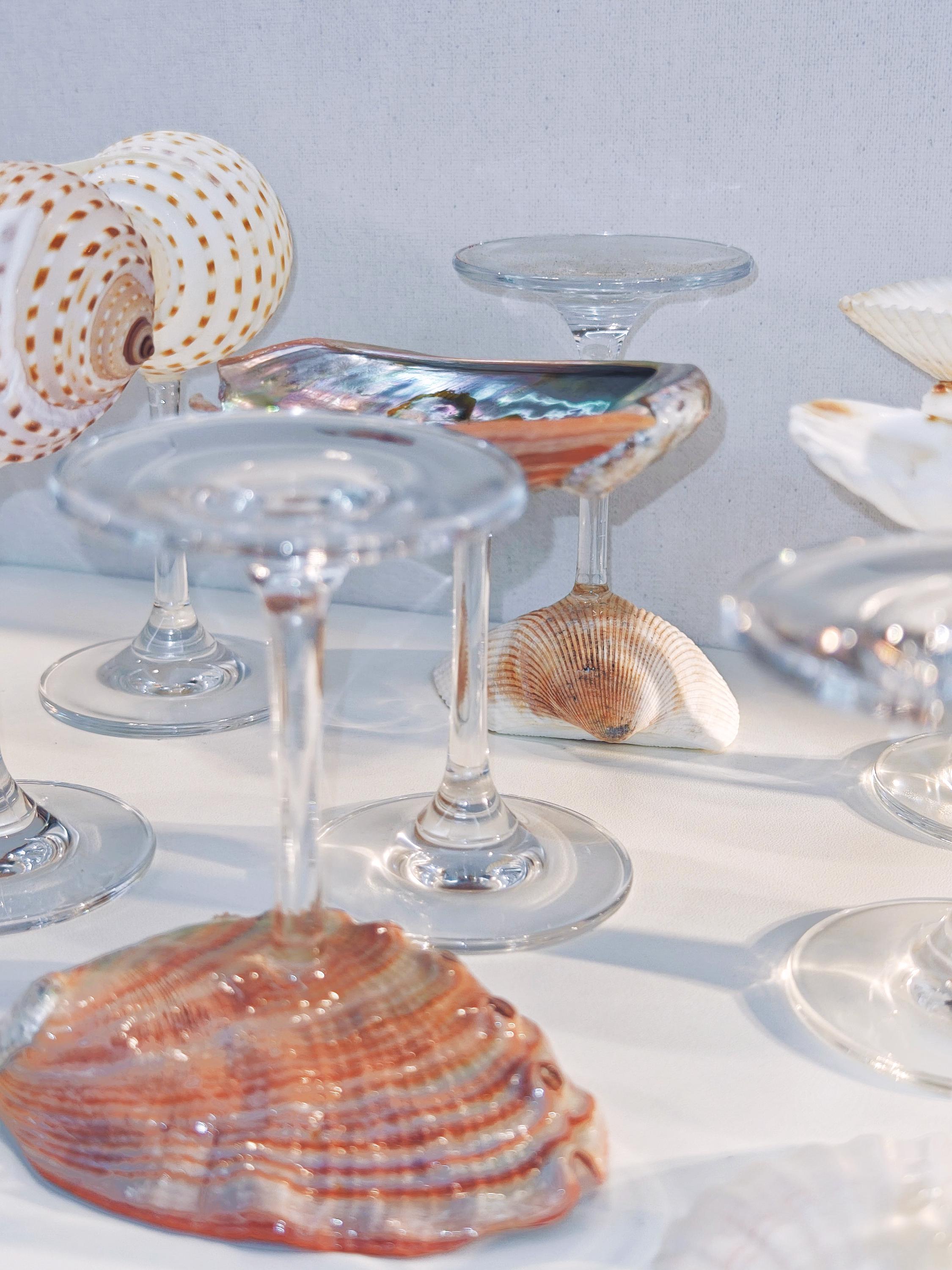 Customized Seashell Wine Glasses, Goblet Cocktail Coupe Glasses, Beach ...