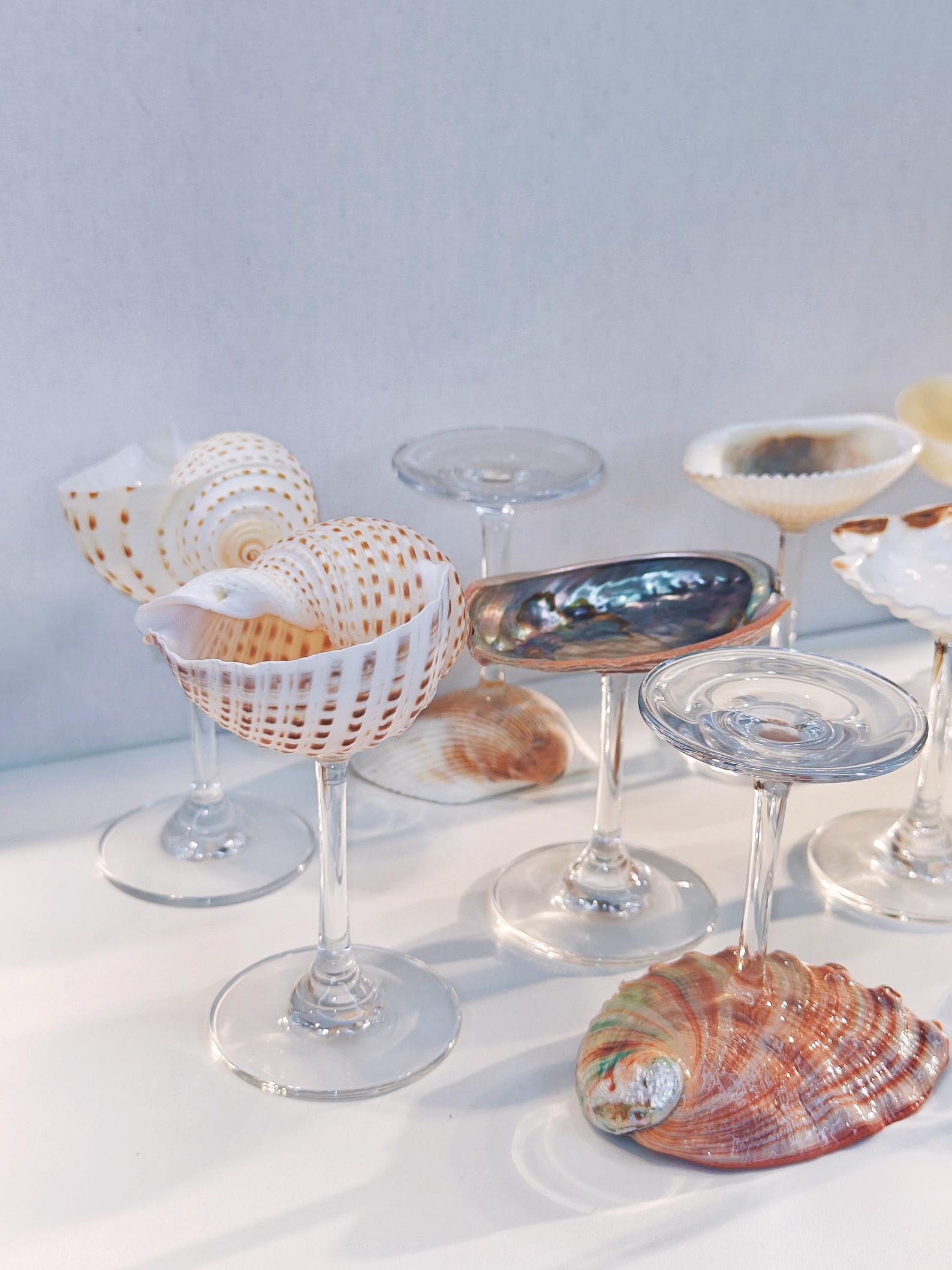 Customized Seashell Wine Glasses, Goblet Cocktail Coupe Glasses, Beach ...