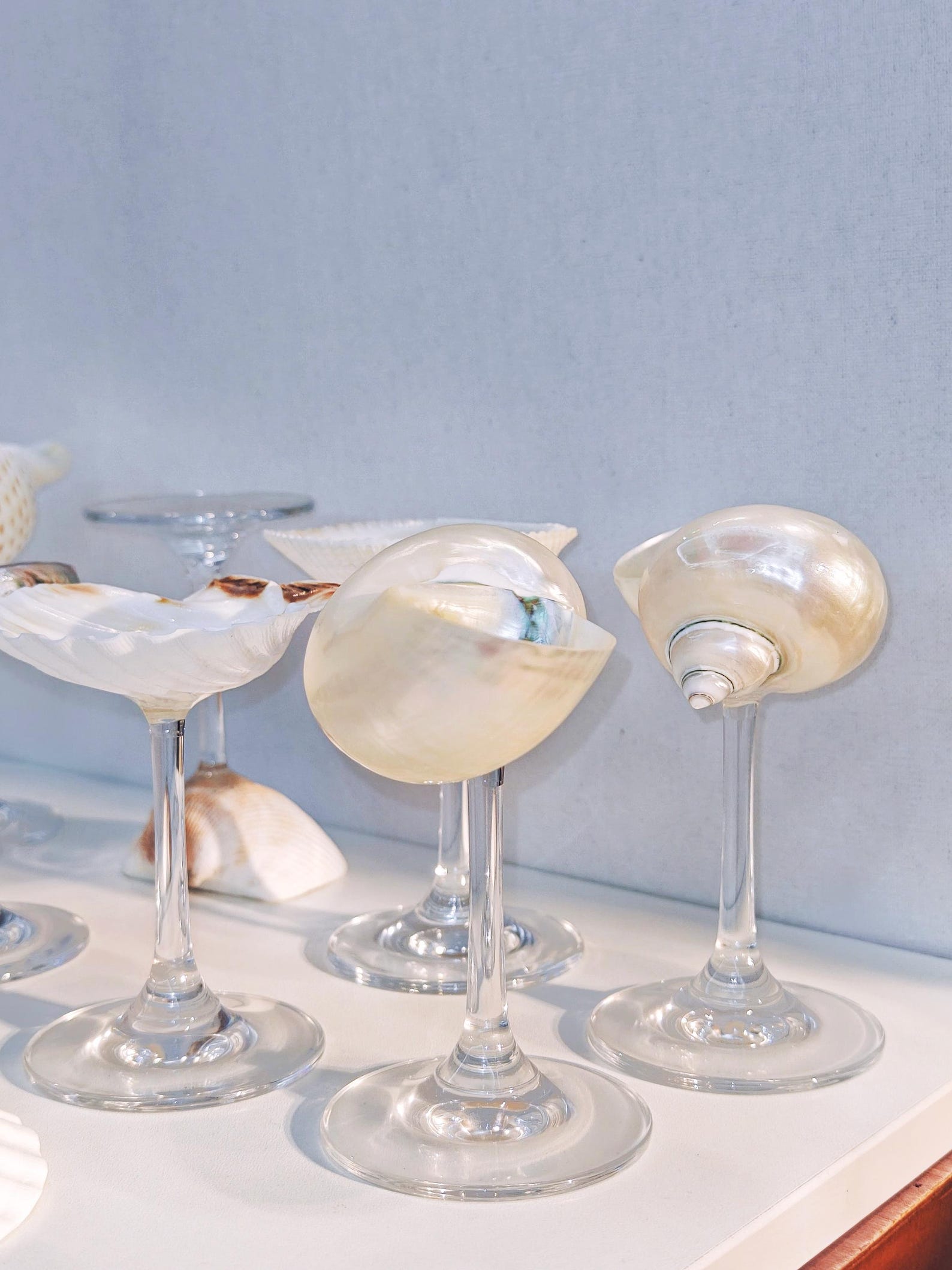 Customized Seashell Wine Glasses, Goblet Cocktail Coupe Glasses, Beach ...