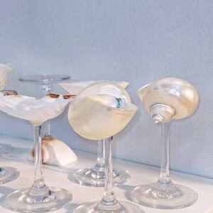 Customized Seashell Wine Glasses, Goblet Cocktail Coupe Glasses, Beach ...