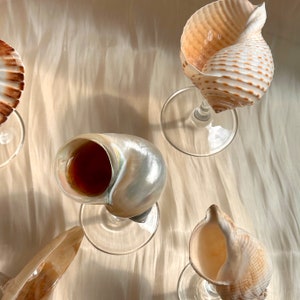 Custom Name Seashell Wine Glasses, Wedding Bridesmaids Gift,beach Shell ...