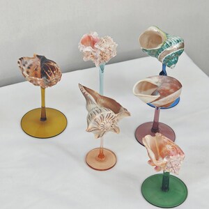 Customized Beach Shell Wine Glasses,seashell Martini Glasses,hen Do ...