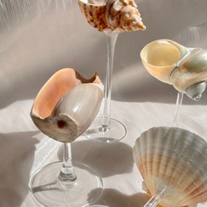 Custom Name Seashell Wine Glasses, Wedding Bridesmaids Gift,beach Shell ...