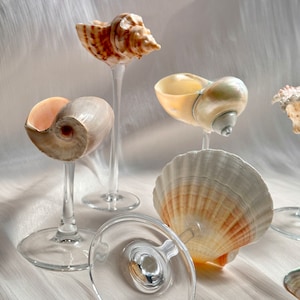 Custom Name Seashell Wine Glasses, Wedding Bridesmaids Gift,beach Shell ...