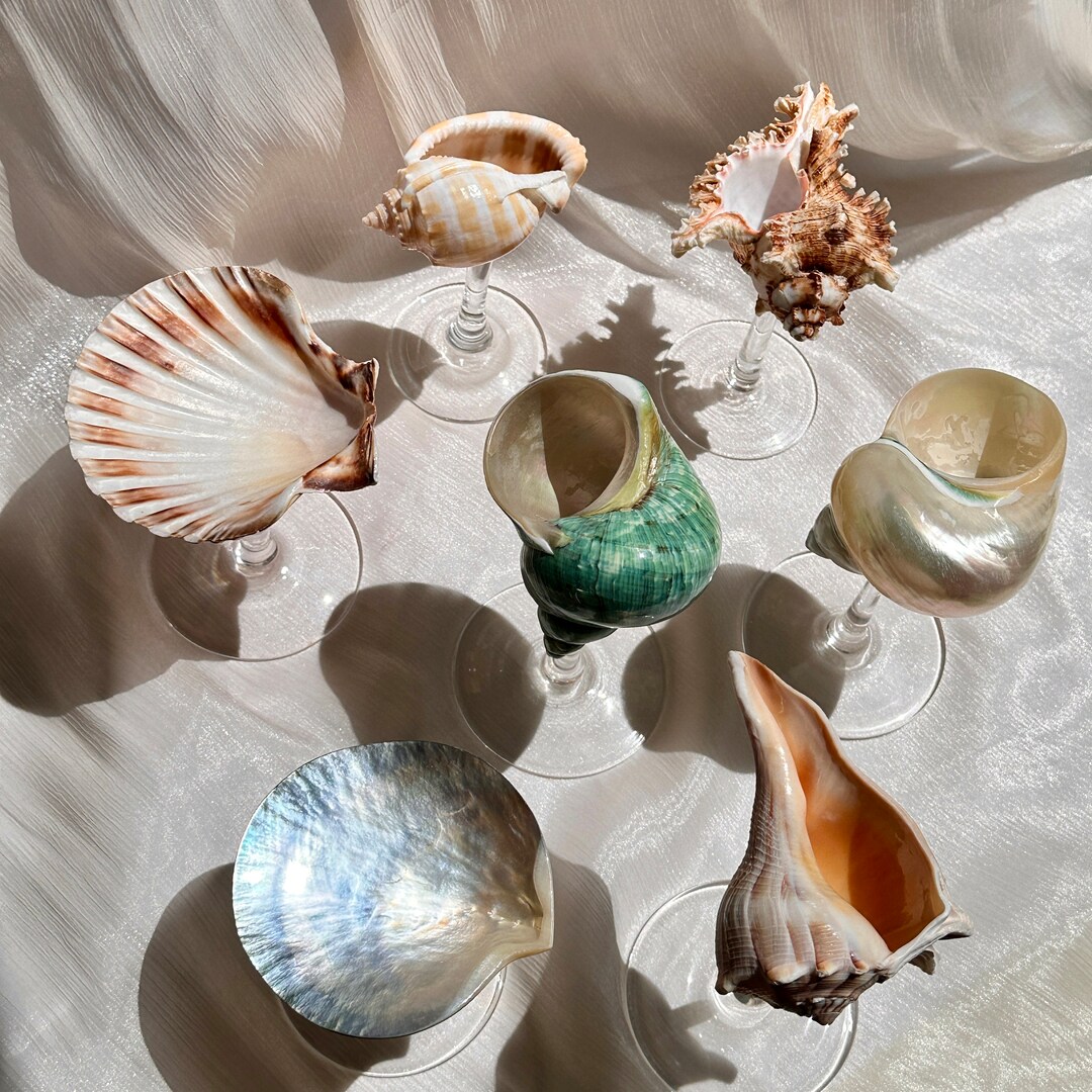 Custom Name Shell Wine Glasses, Wedding Bridesmaids Gift,beach Seashell ...