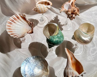 Customized Seashell Wine Glasses, Goblet Cocktail Coupe Glasses, Beach ...