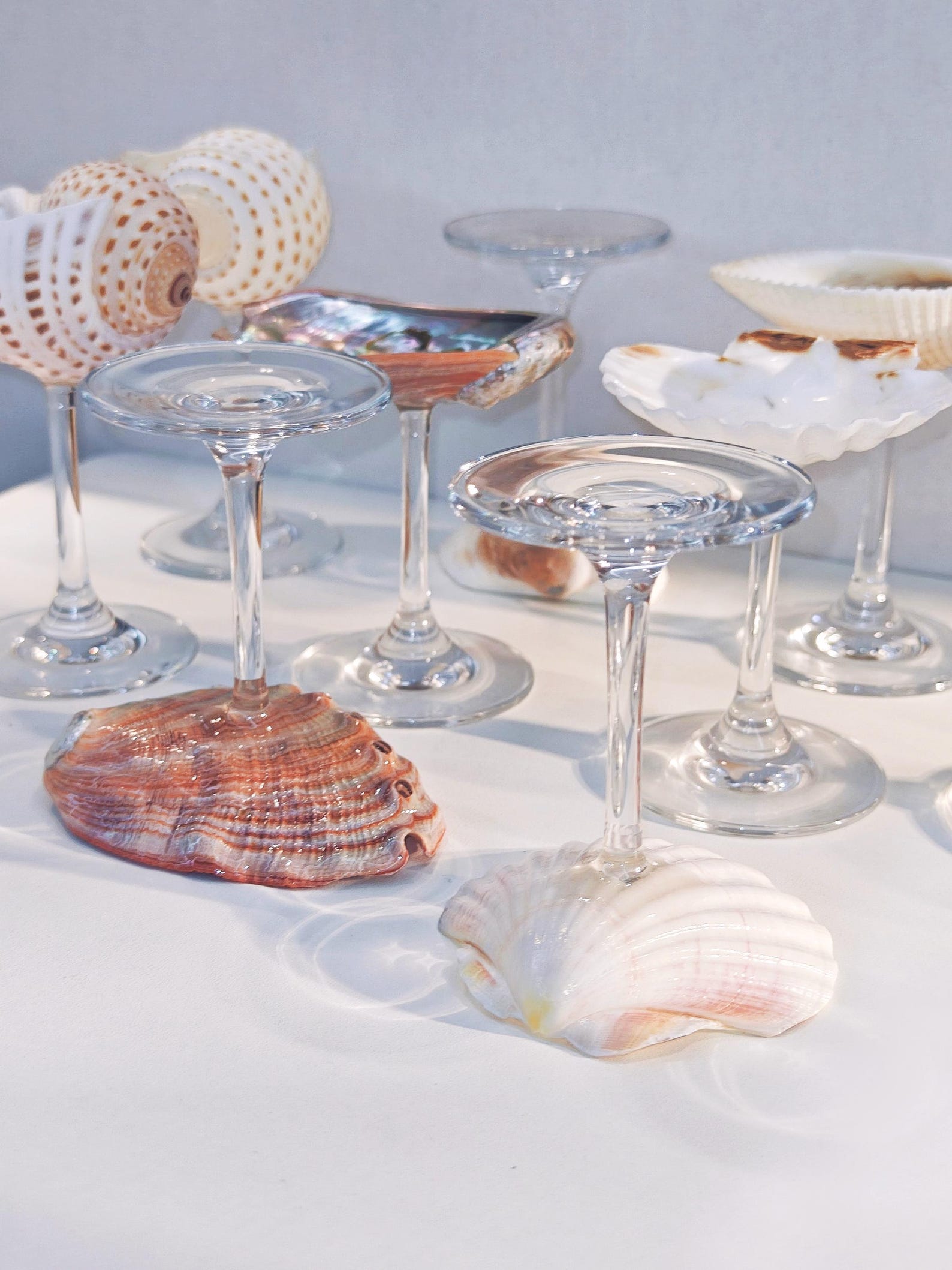 Customized Seashell Wine Glasses, Goblet Cocktail Coupe Glasses, Beach ...